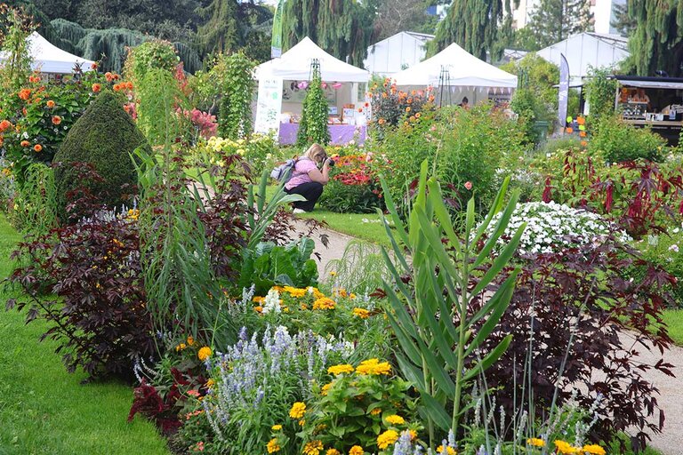 « Nuances de Roses » au Jardin des plantes: Ville d'Orléans