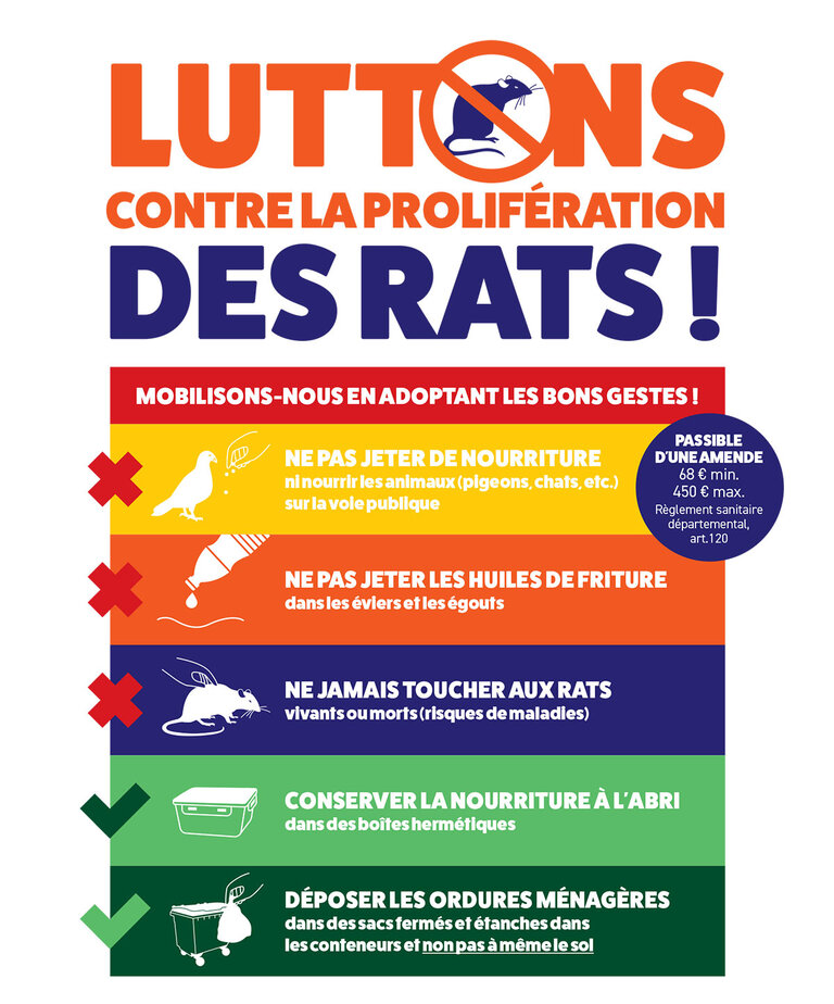 Lutte contre la prolifération des rats : campagne de sensibilisation ...