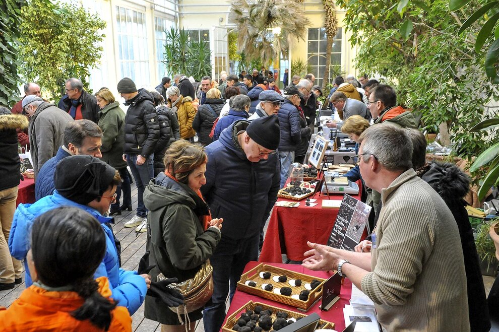 Les marchés: Ville d'Orléans