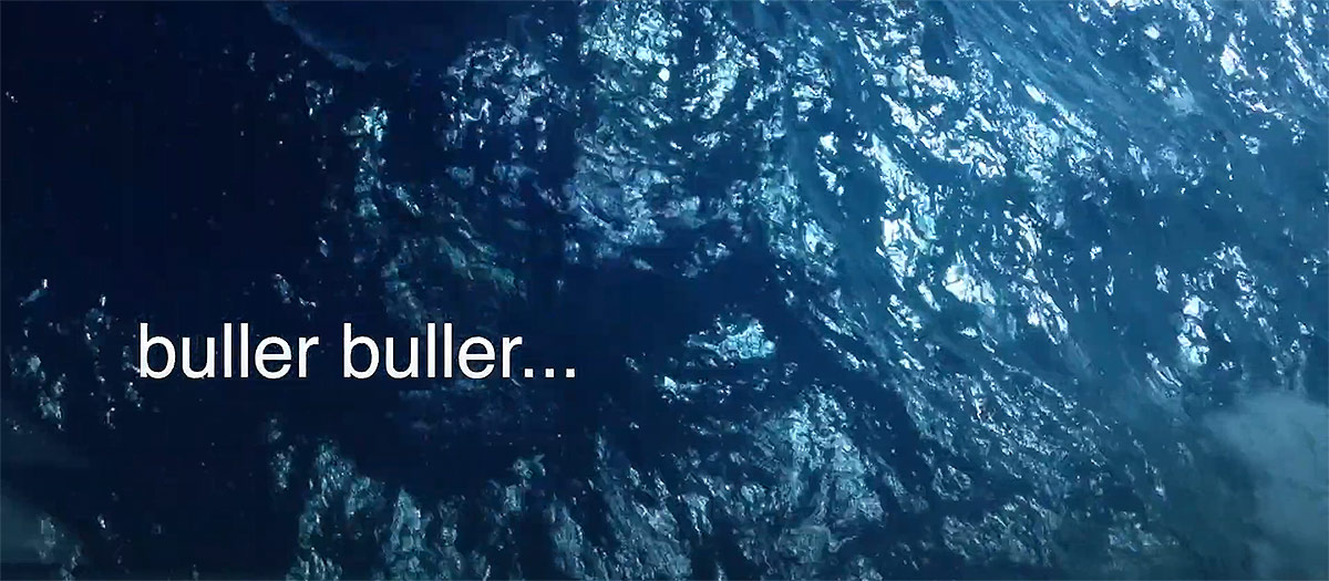 Buller au jardin: Ville d'Orléans