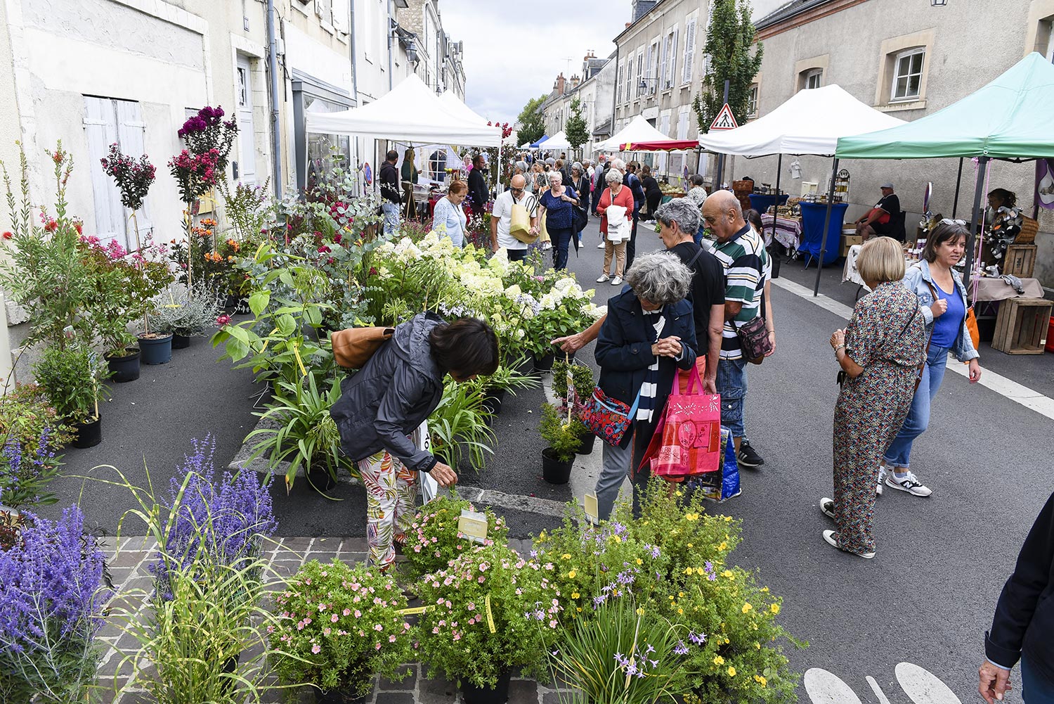 Les marchés: Ville d'Orléans